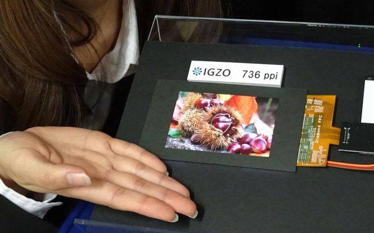 Sharp’s new 2K smartphone display is the smallest (and most dense) yet