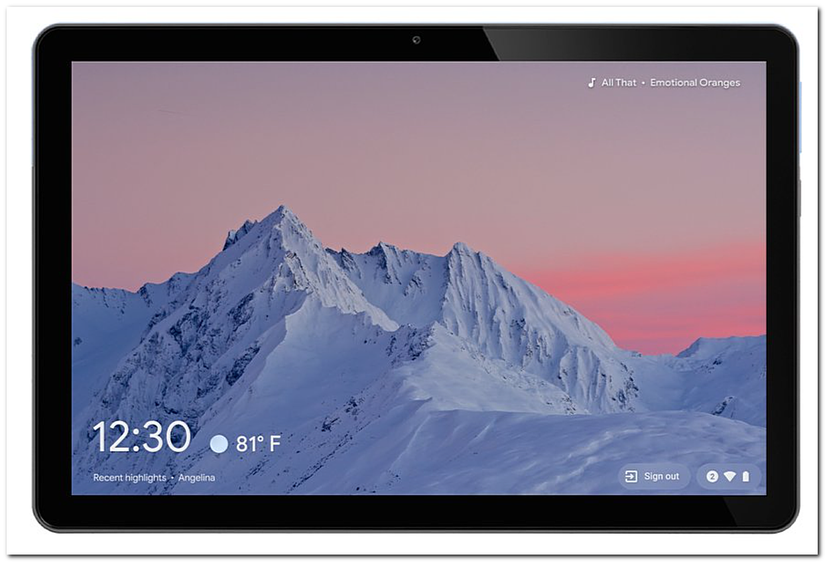 Chrome OS 88 introduces PIN and biometric sign-in support on websites